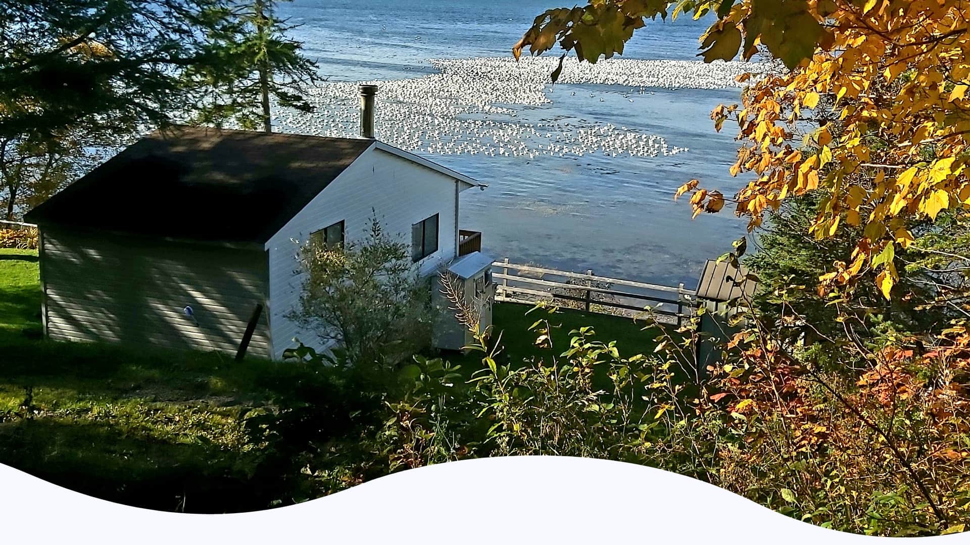 MOTEL CAMPING MÉTIS | GRAND MÉTIS – Tout près des JARDINS DE MÉTIS